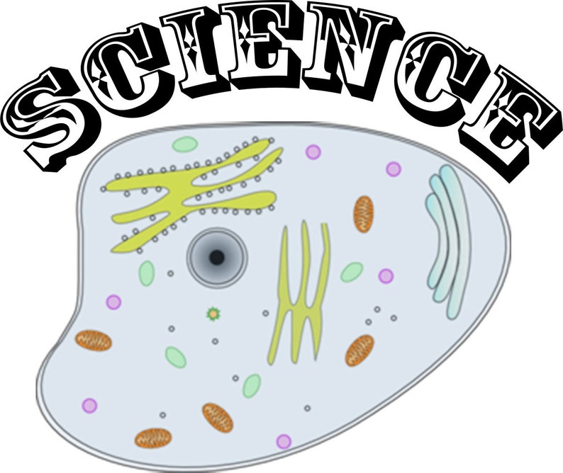 Science Mug Bible Verse - Etsy