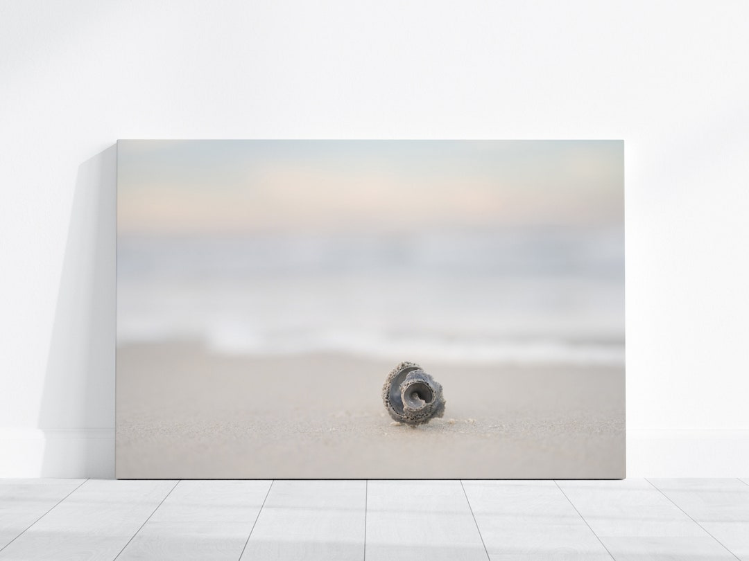 The Shell, Beach Art Wall Art - Etsy
