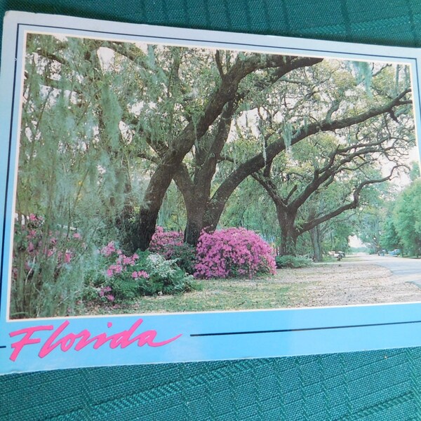 Scenic Postcards - Etsy
