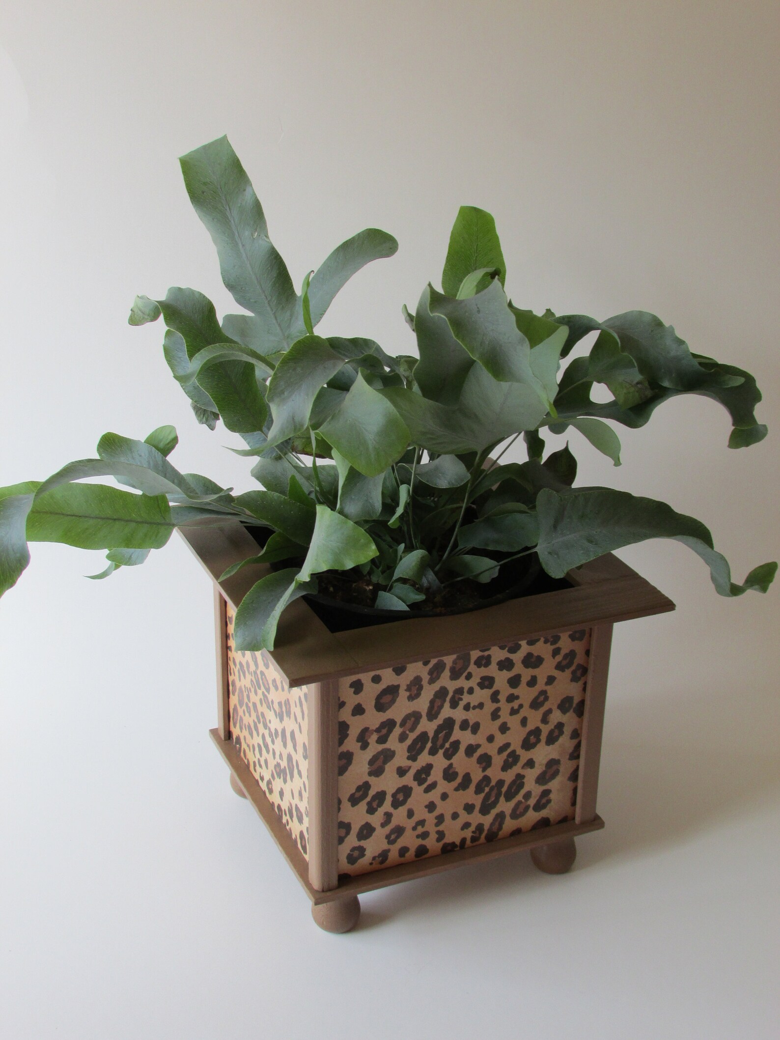 Leopard Print Planter Box Paint Stick Planter Box Animal | Etsy