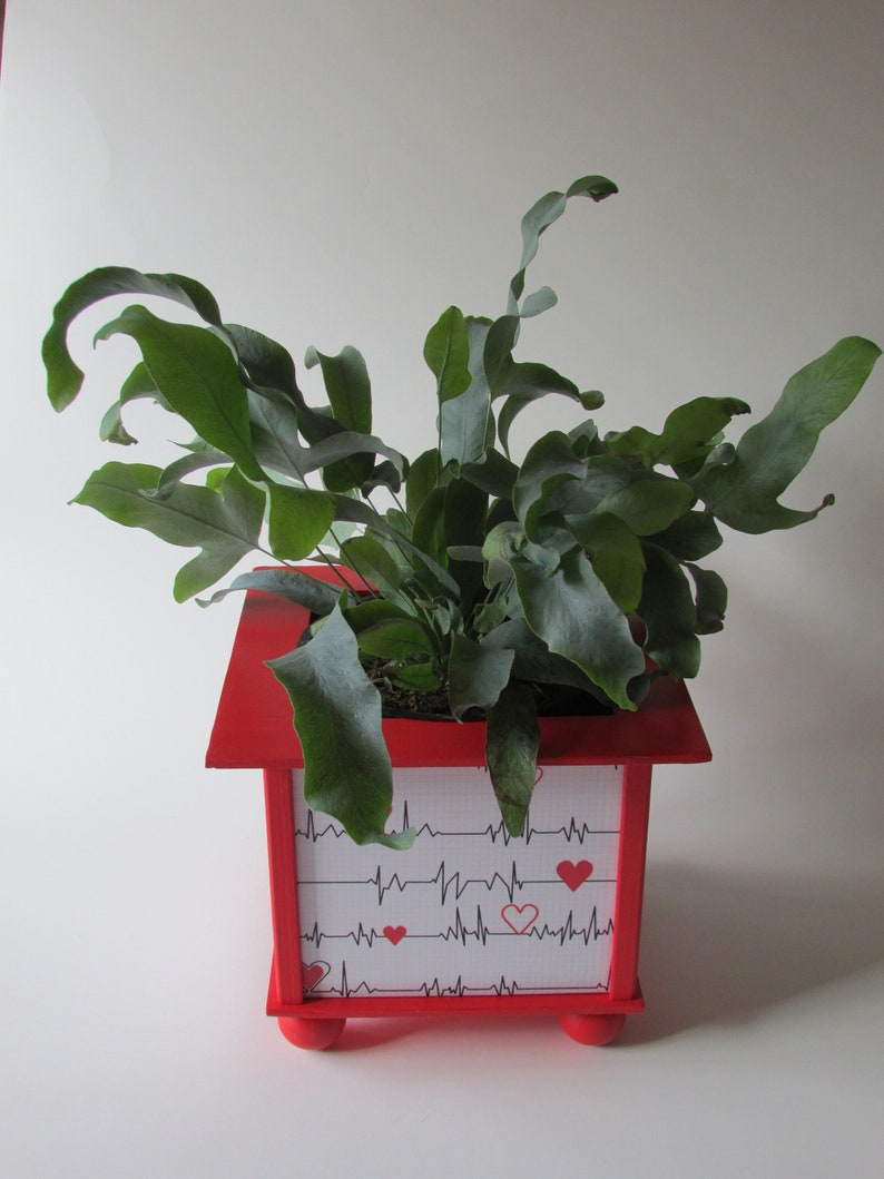 Nurse Heartbeat Planter Box Paint Stick Planter Box Nurse | Etsy