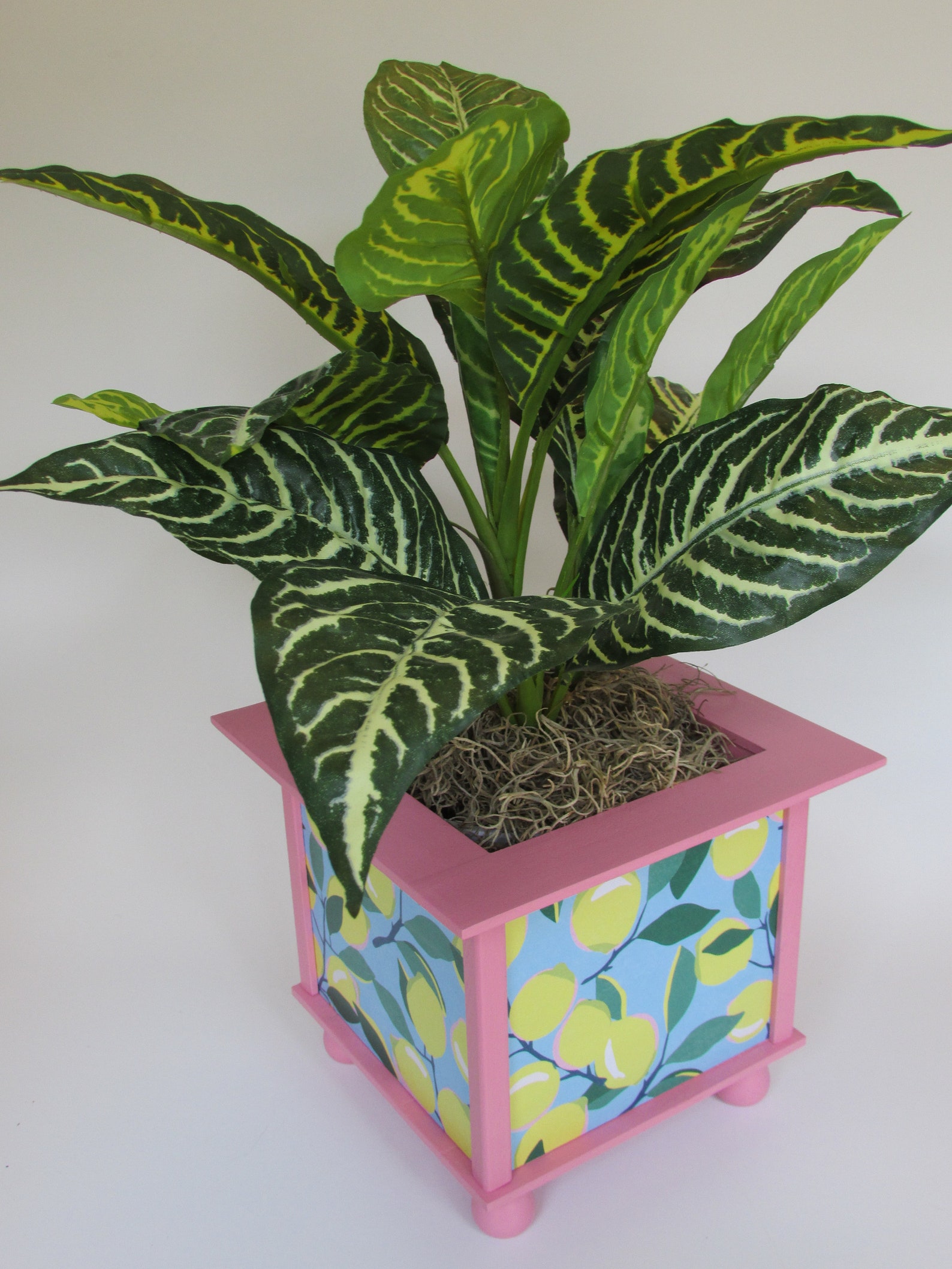 Lemon Pink Lemonade Print Planter Box Paint Stick Planter - Etsy