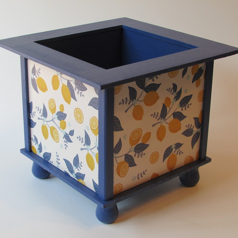 Lemon Tree Live Plant - Etsy