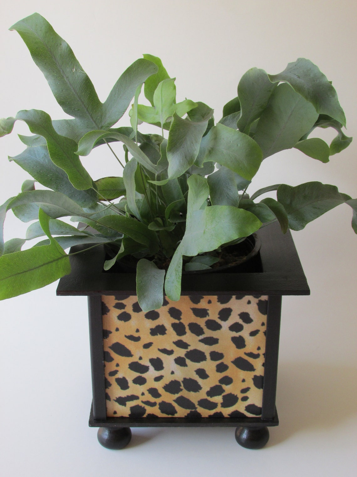 Cheetah Print Planter Box - Paint Stick Planter Box - Animal Planter ...
