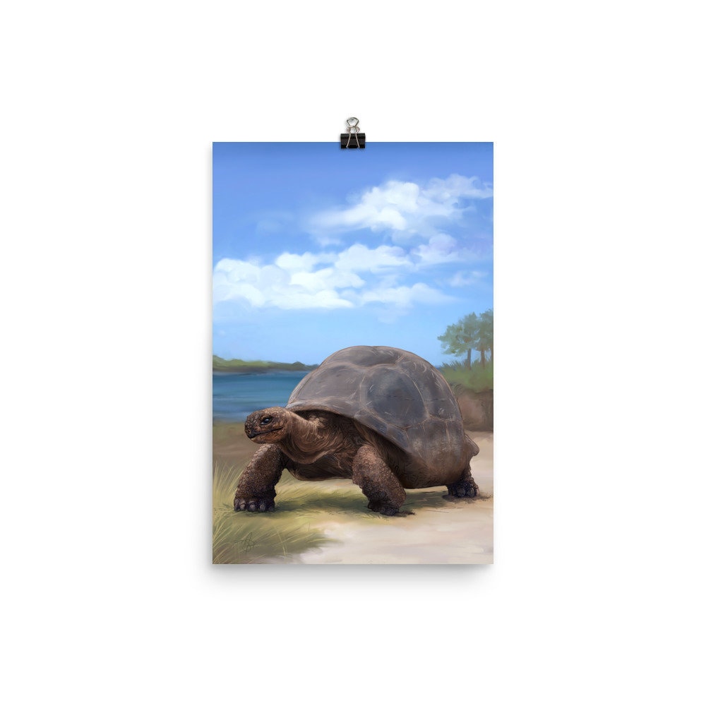 Tortoise Wall Art/galápagos Islands Tortoise/turtle/print/painting ...