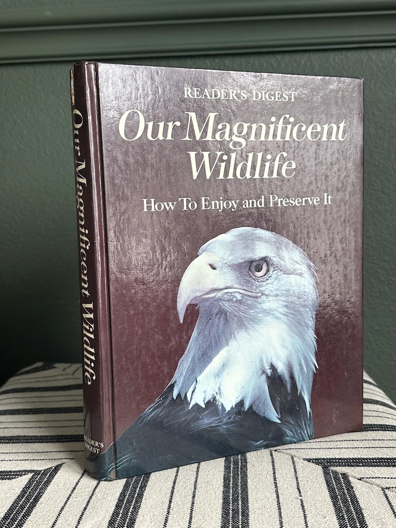 Vintage 1975 “our Magnificent Wildlife” Endangered Animal Reader’s ...