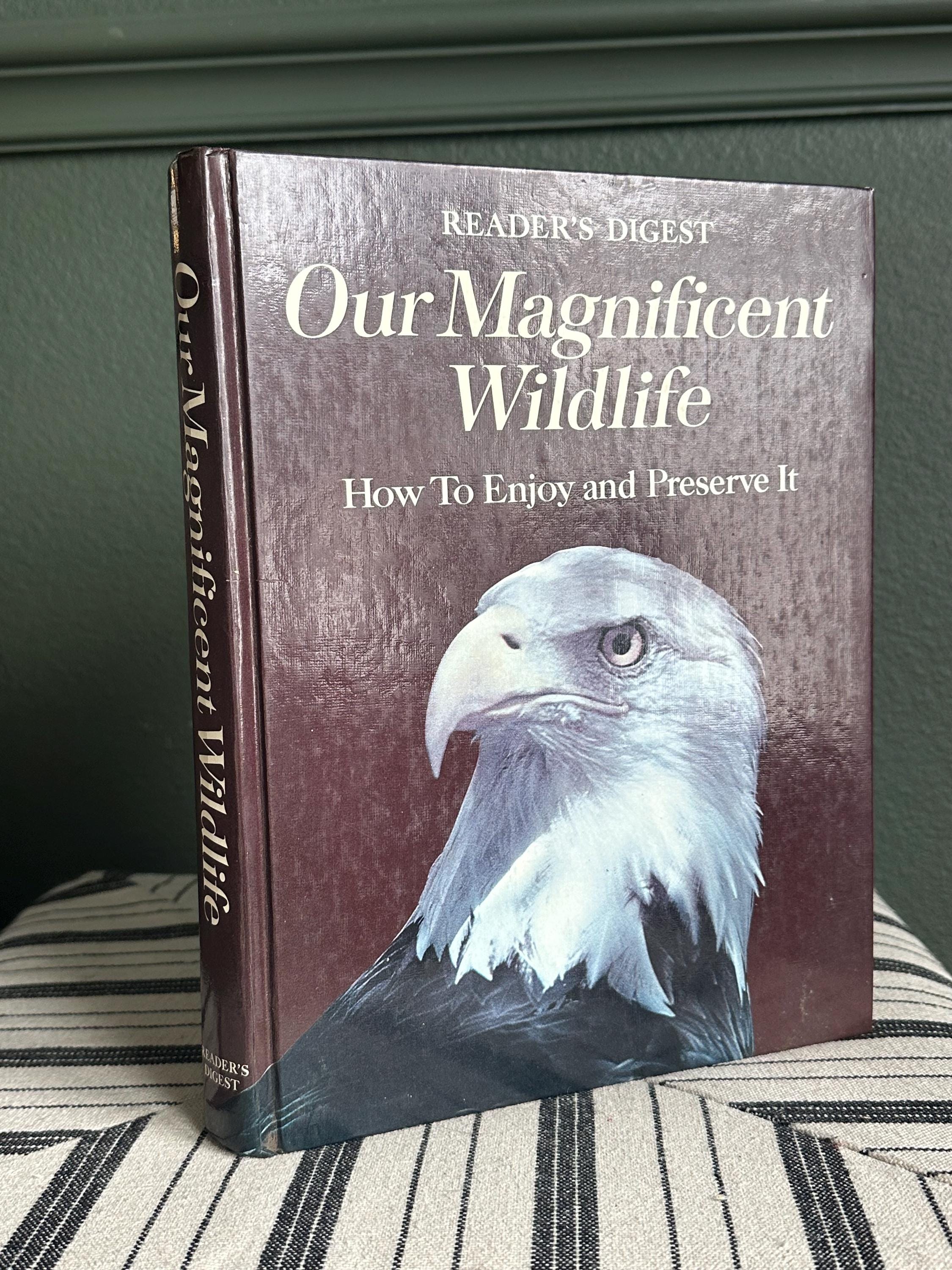Vintage 1975 “our Magnificent Wildlife” Endangered Animal Reader’s ...