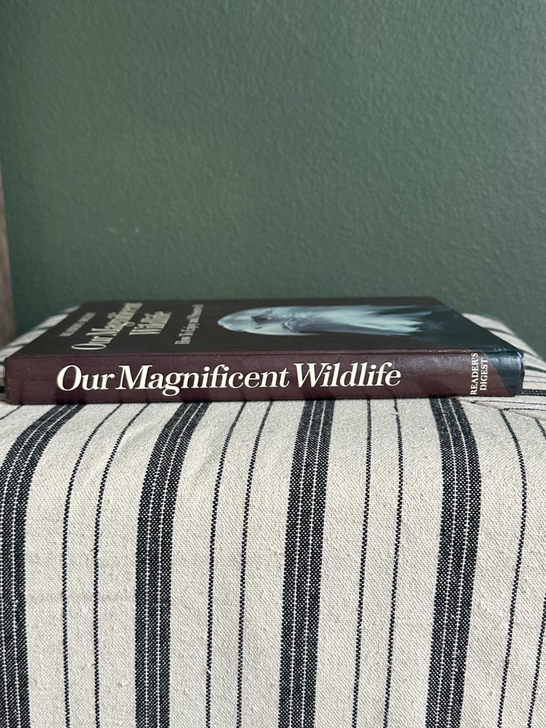 Vintage 1975 “our Magnificent Wildlife” Endangered Animal Reader’s ...