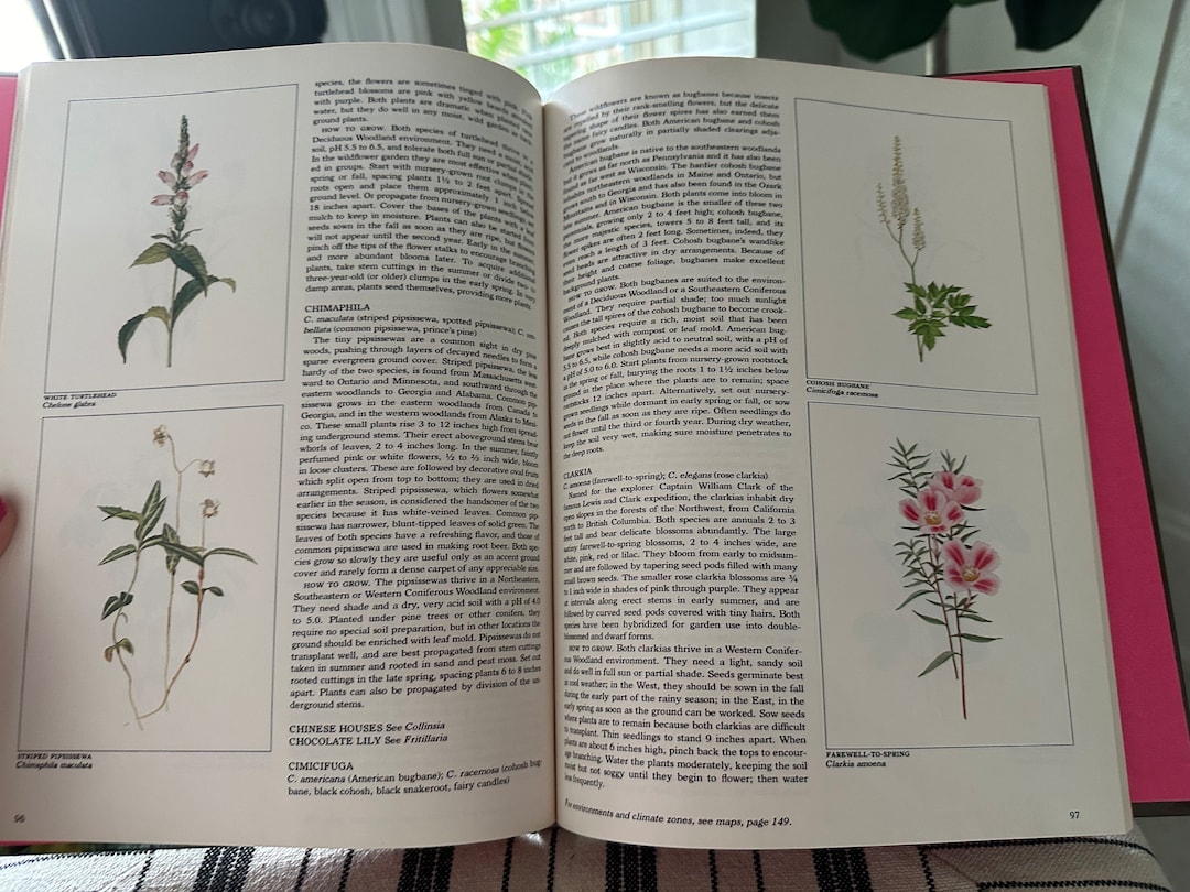 Vintage 1977 Botanical Plants wildflower Gardening Coffee Table Book ...