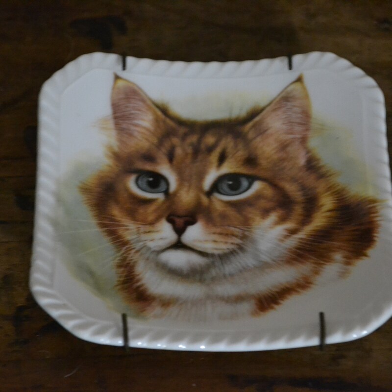 Cat Decorative Plate - Etsy