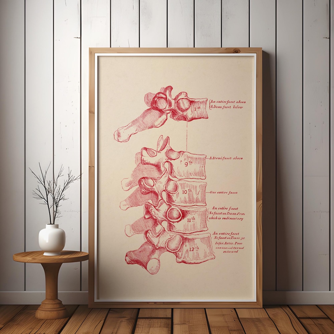 Downloadable Human Anatomy Art Medical Wall Print Skeleton Vintage ...