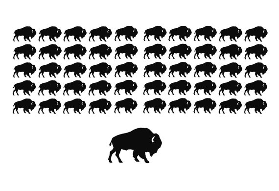 Buffalo Decals Choose Your Size and Color Buffalo Stickers - Etsy