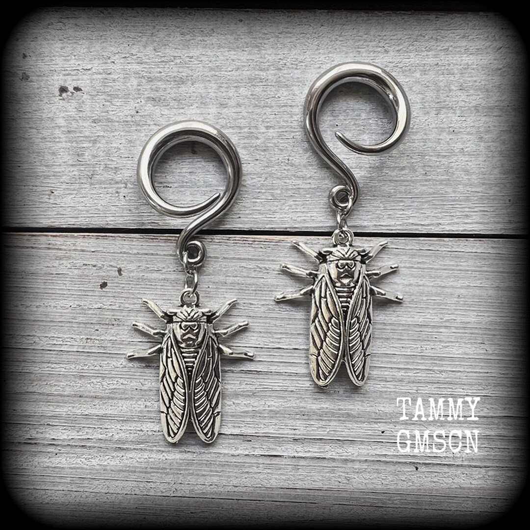 Cicada Ear Gauges 6 Gauge Ear Weights Cicada Ear Weights 4mm Insect ...