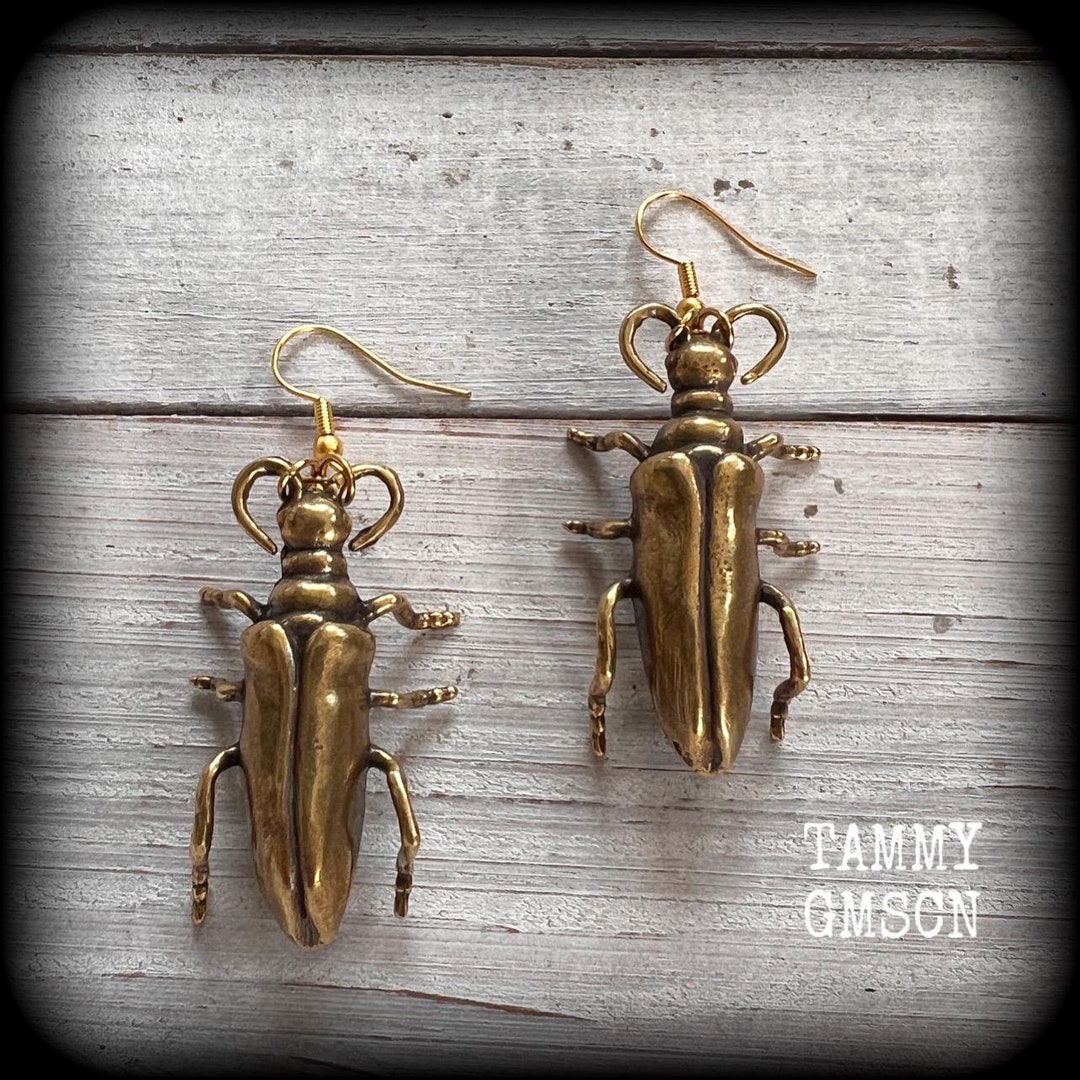 Beetles Earrings Bugs Earrings Brown Beetle Earrings Insects Earrings ...