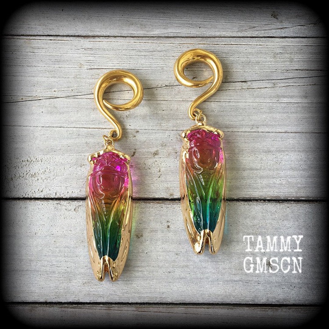 Locust Ear Weights Cicada Ear Weights Rainbow Quartz Ear - Etsy