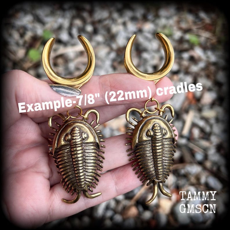 Trilobite Ear Weights 0 Gauge Ear Weights Fossil Ear Weights Insect Ear ...