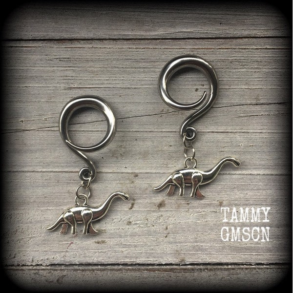 Gauge Earrings - Etsy Canada