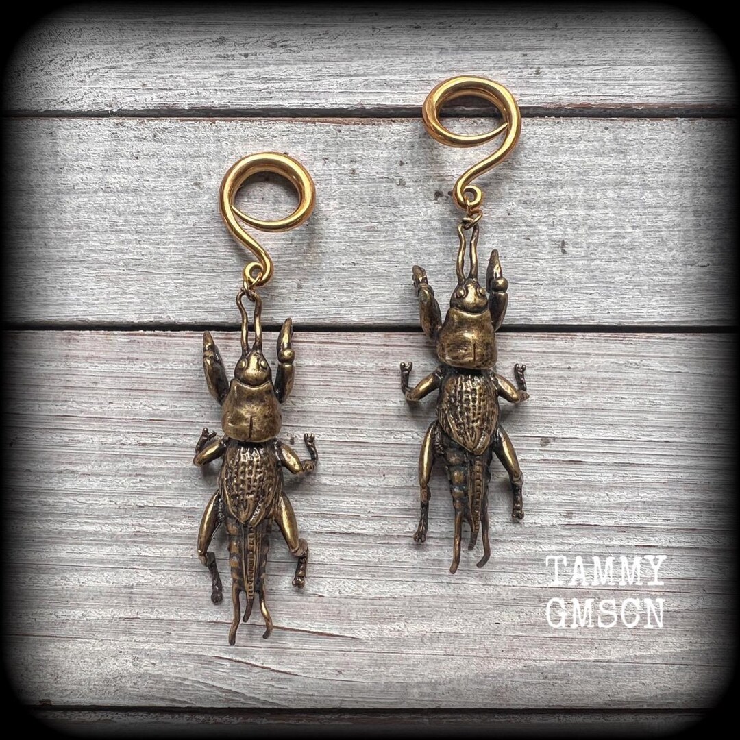 Insect Ear Weights Insect Gauged Earrings 6 Gauge Ear Weights Bugs ...