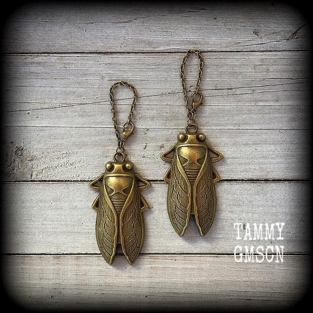 Cicada Ear Hangers 6 Gauge Ear Weights Cicada Ear Weights Ear - Etsy