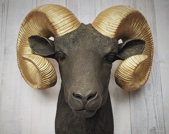 Sheep Head Mount - Etsy