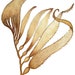 Giant Kelp Watercolor ARCHIVAL SIGNED PRINT - Etsy
