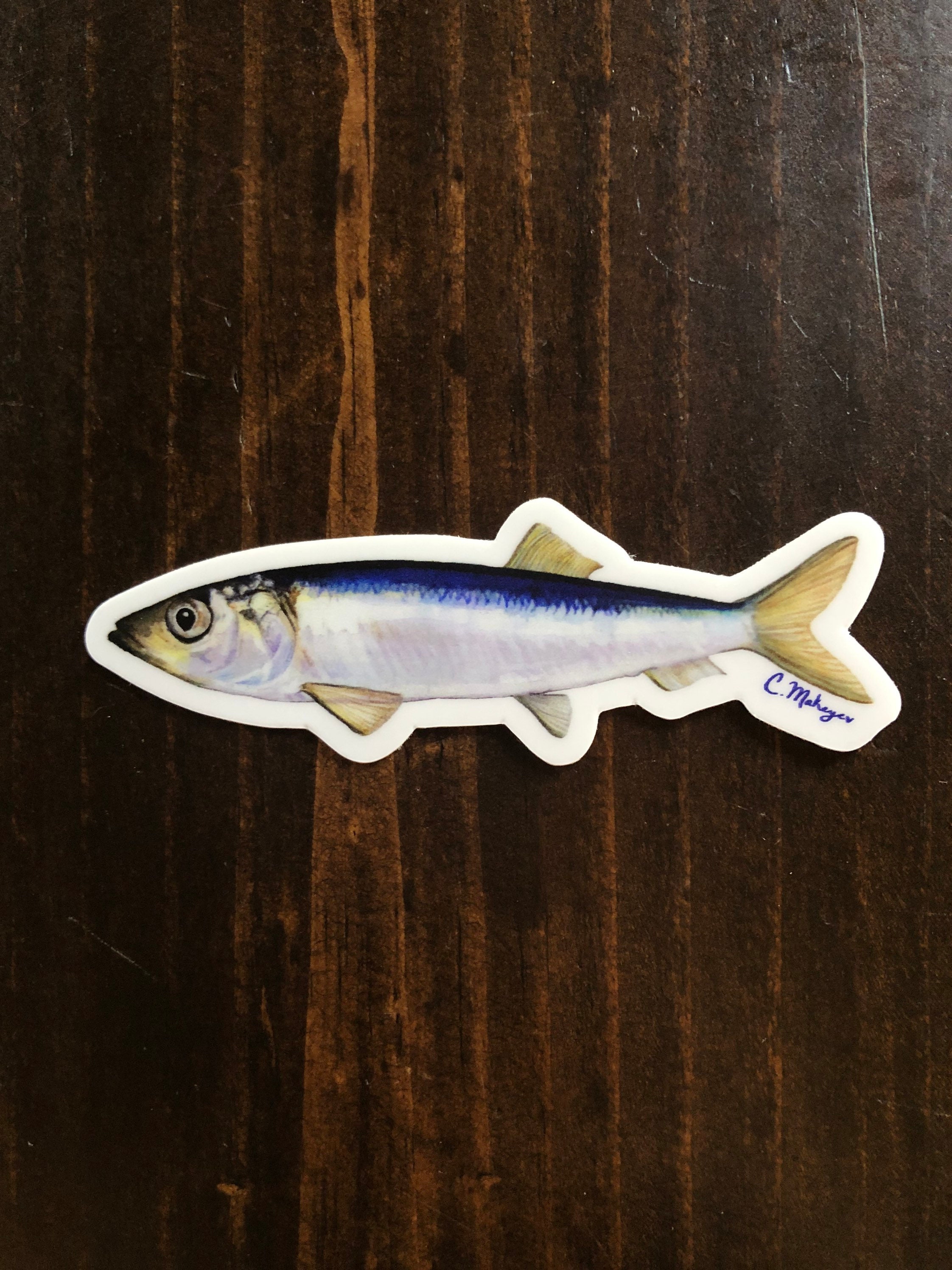 Sea Cucumber Sticker — Mermaid Scientist by Claudia Makeyev