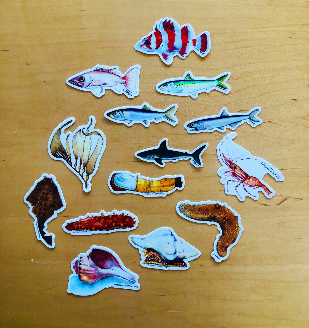 10 Sea Creature Stickers - Etsy