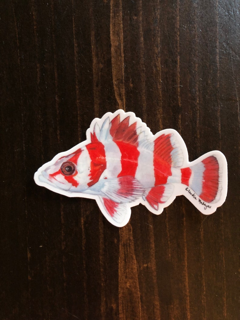 Flag Rockfish Sticker - Etsy