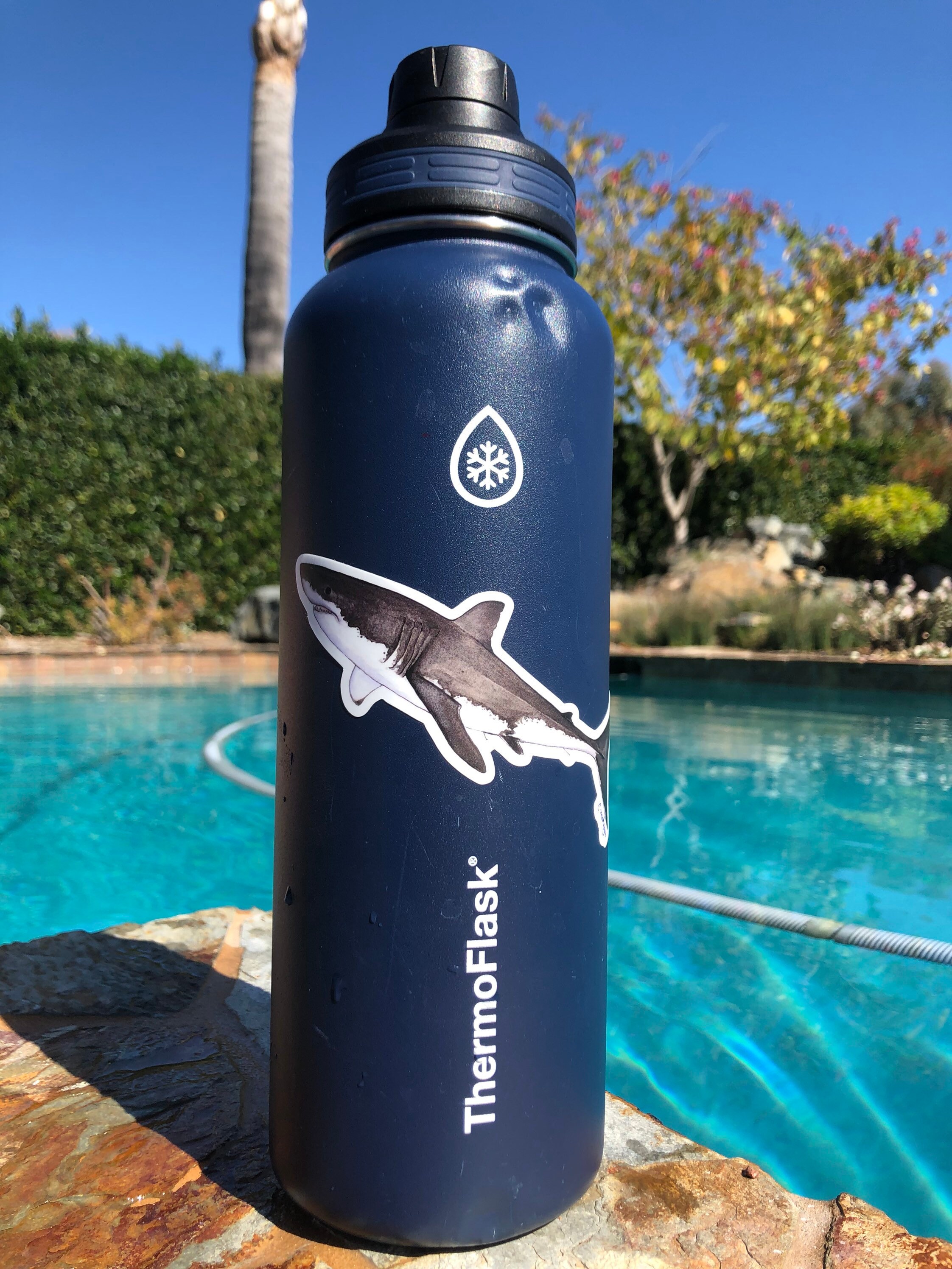 Store 2 — Mermaid Scientist by Claudia Makeyev