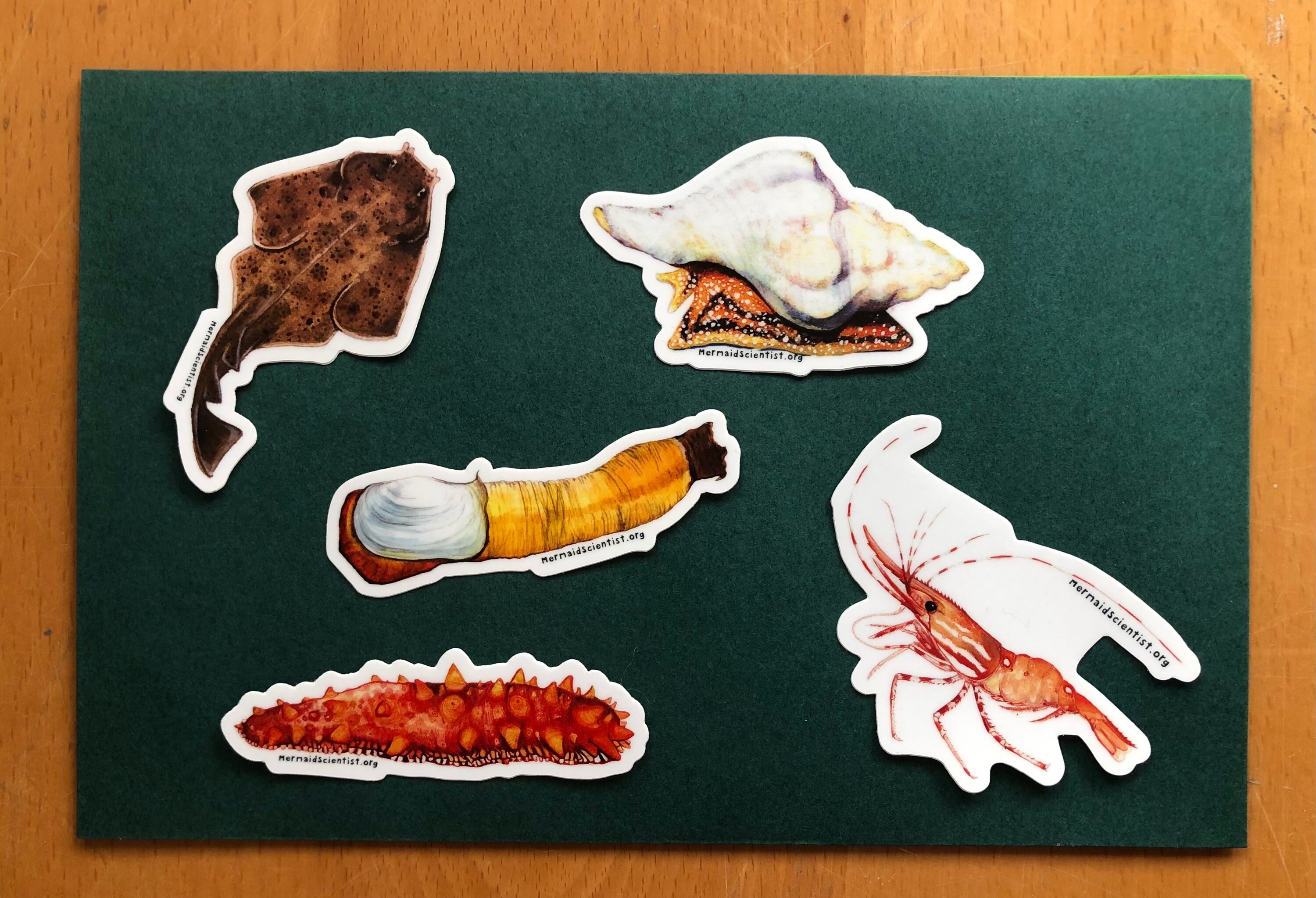 Store 2 — Mermaid Scientist by Claudia Makeyev