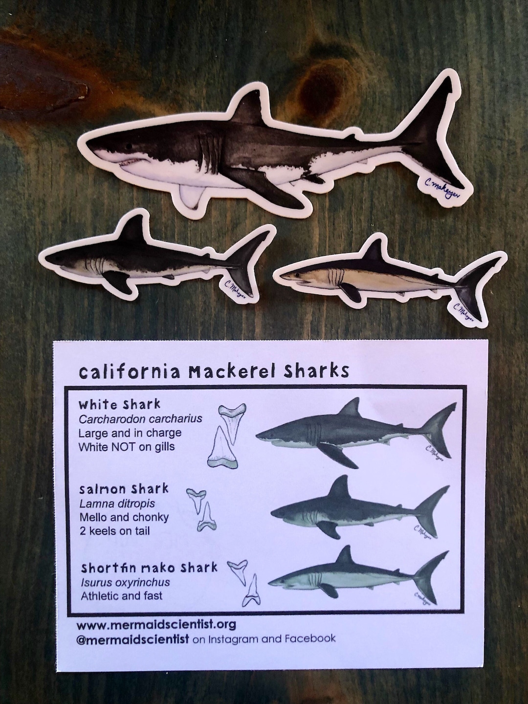 Shark Sticker Pack WATERPROOF (3 COUNT) - Etsy