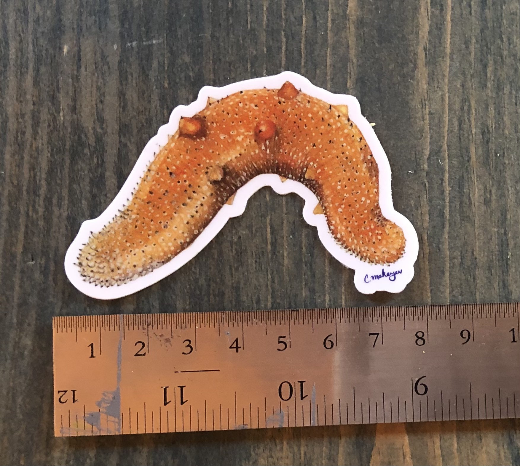 Sea Cucumber Sticker — Mermaid Scientist by Claudia Makeyev