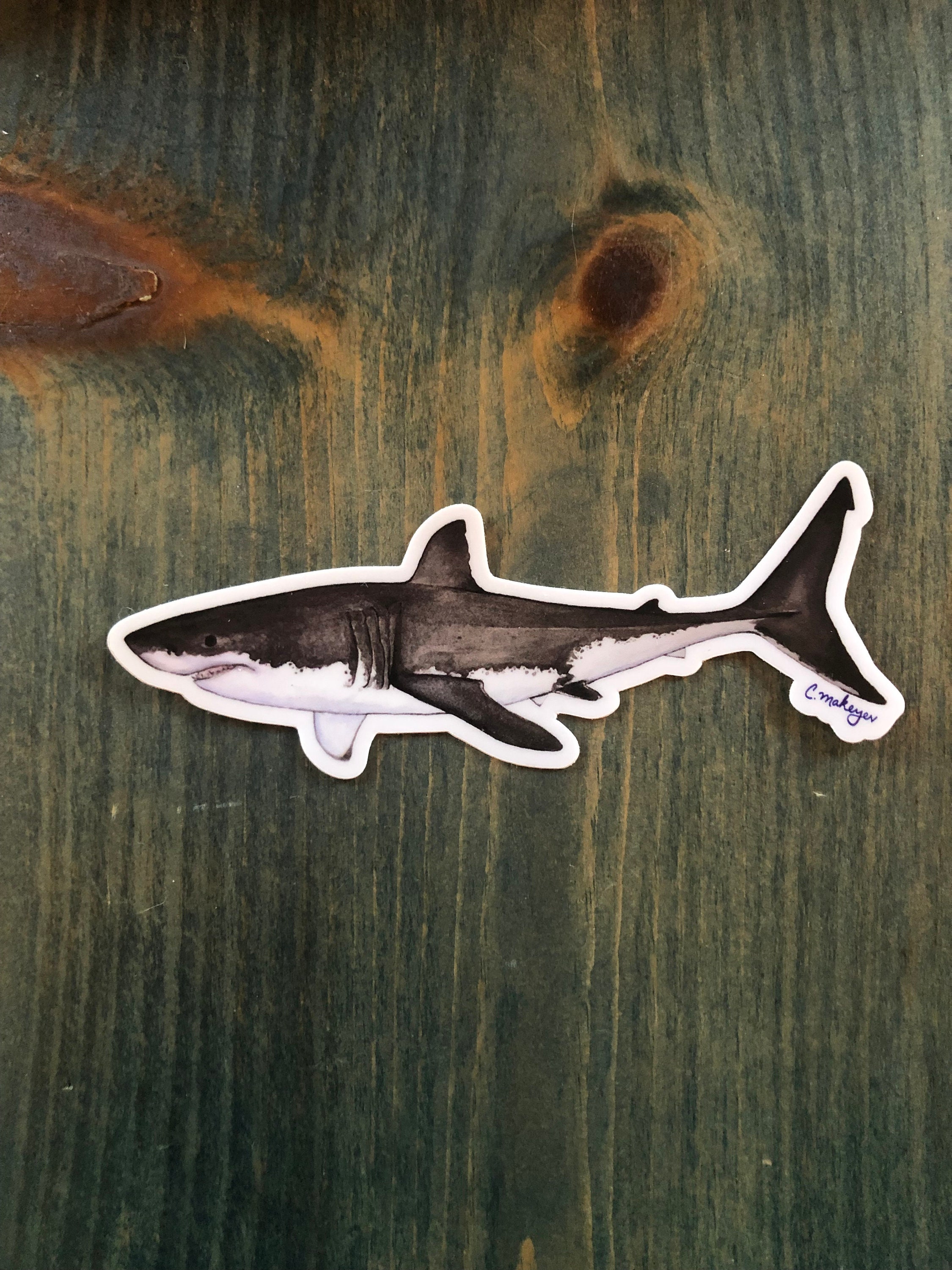 Kelley’s Whelk Sticker — Mermaid Scientist by Claudia Makeyev