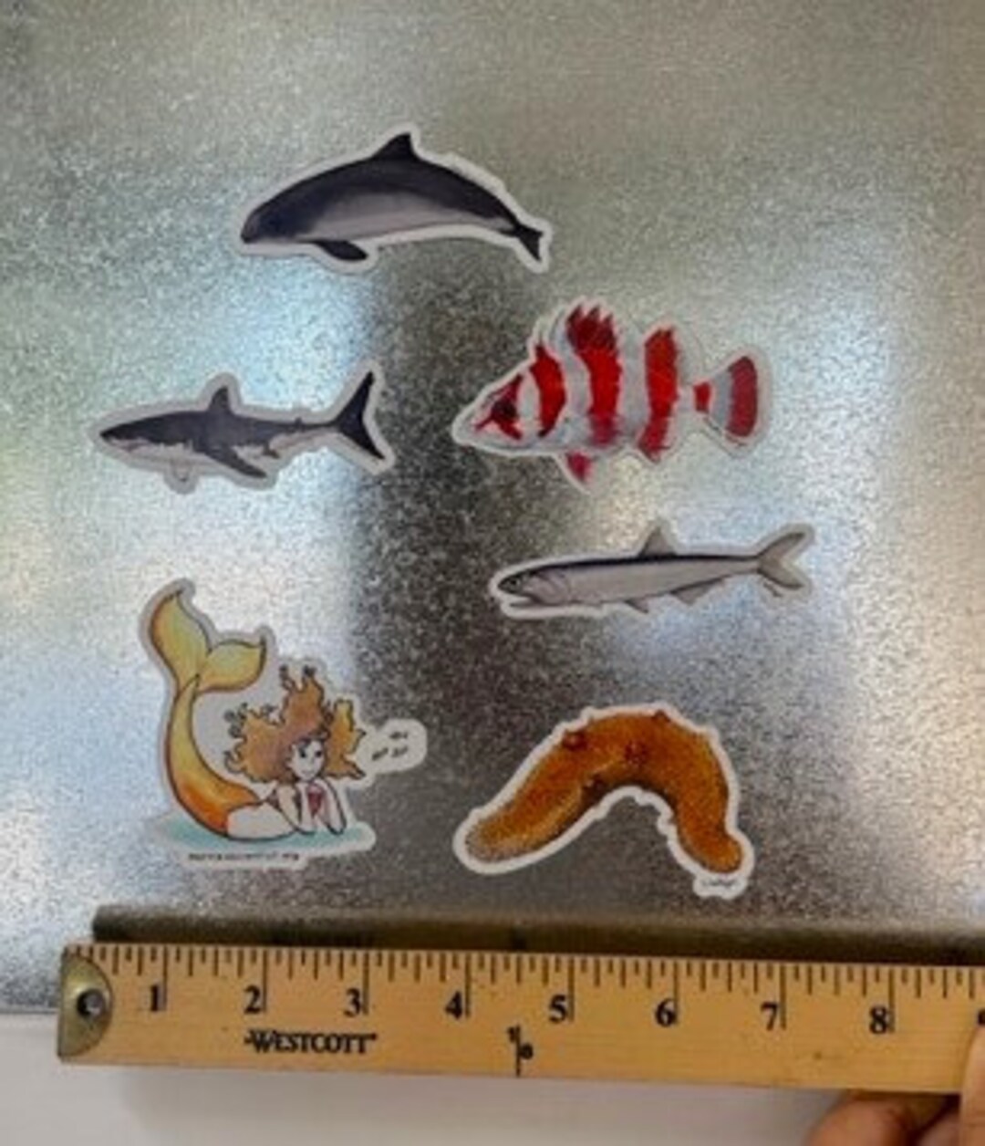 MAGNETS Six Sea Creatures - Etsy