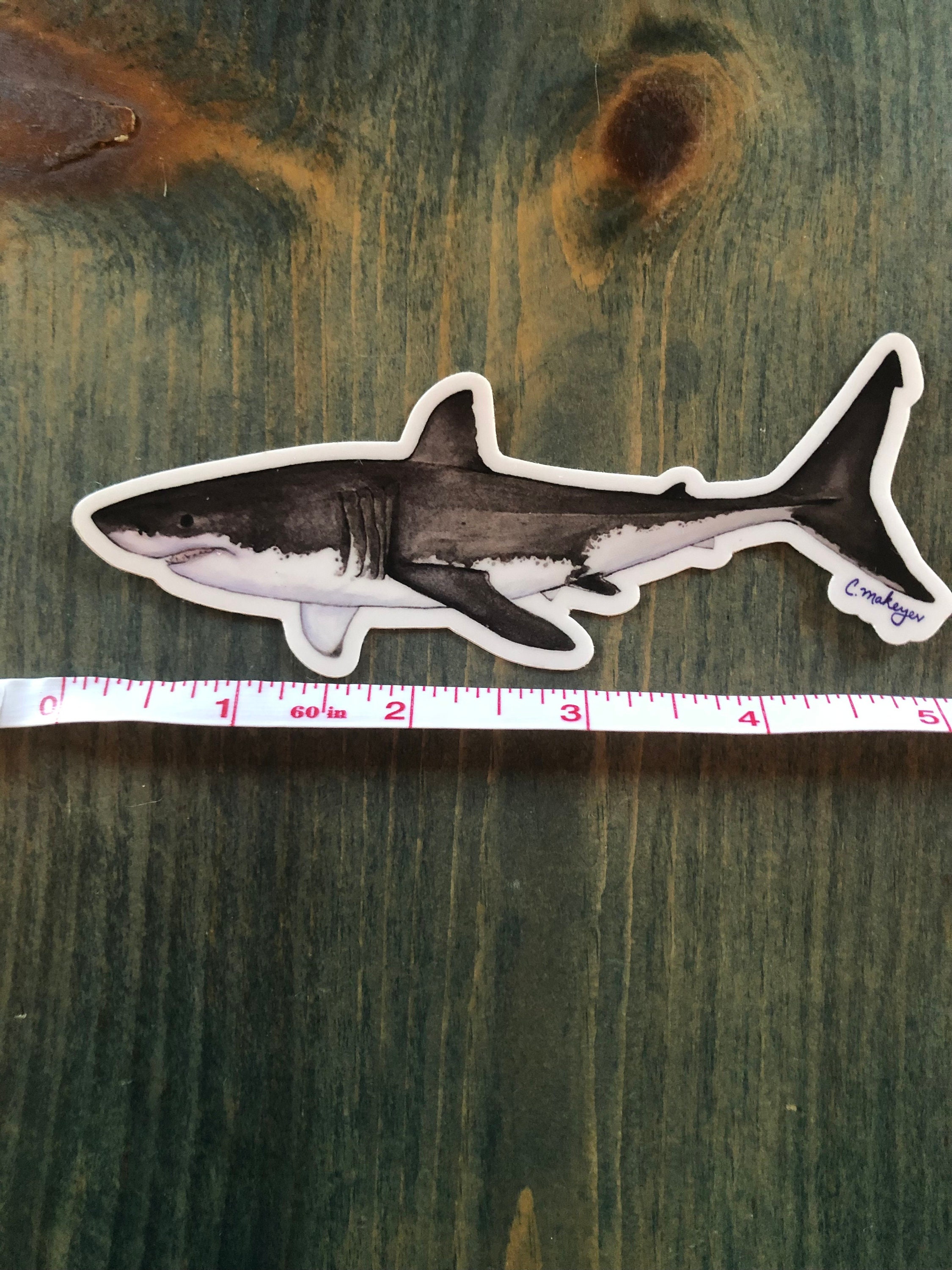 Kelley’s Whelk Sticker — Mermaid Scientist by Claudia Makeyev