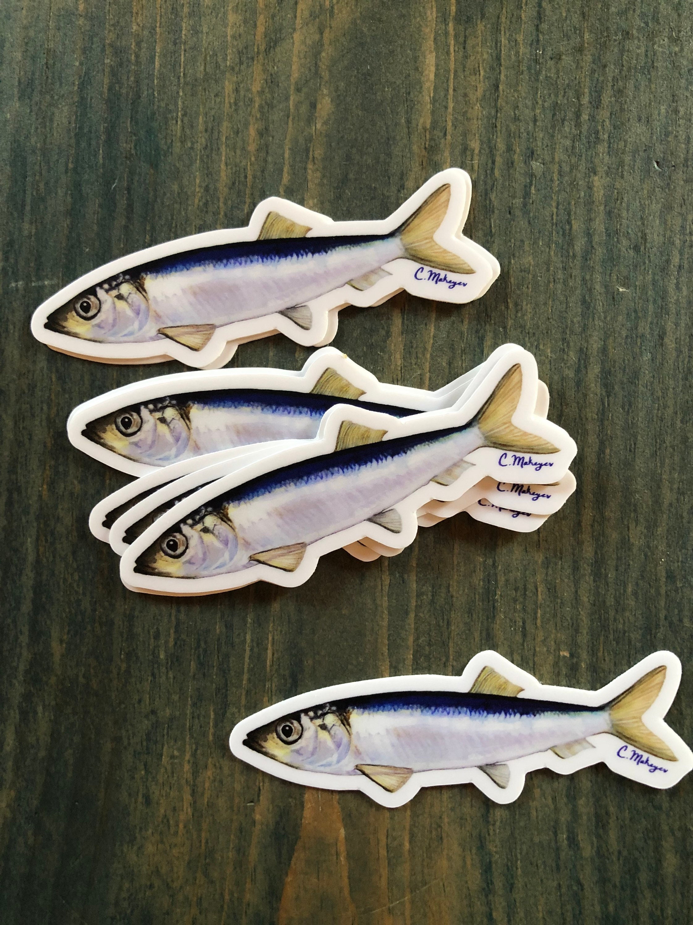 Store 2 — Mermaid Scientist by Claudia Makeyev