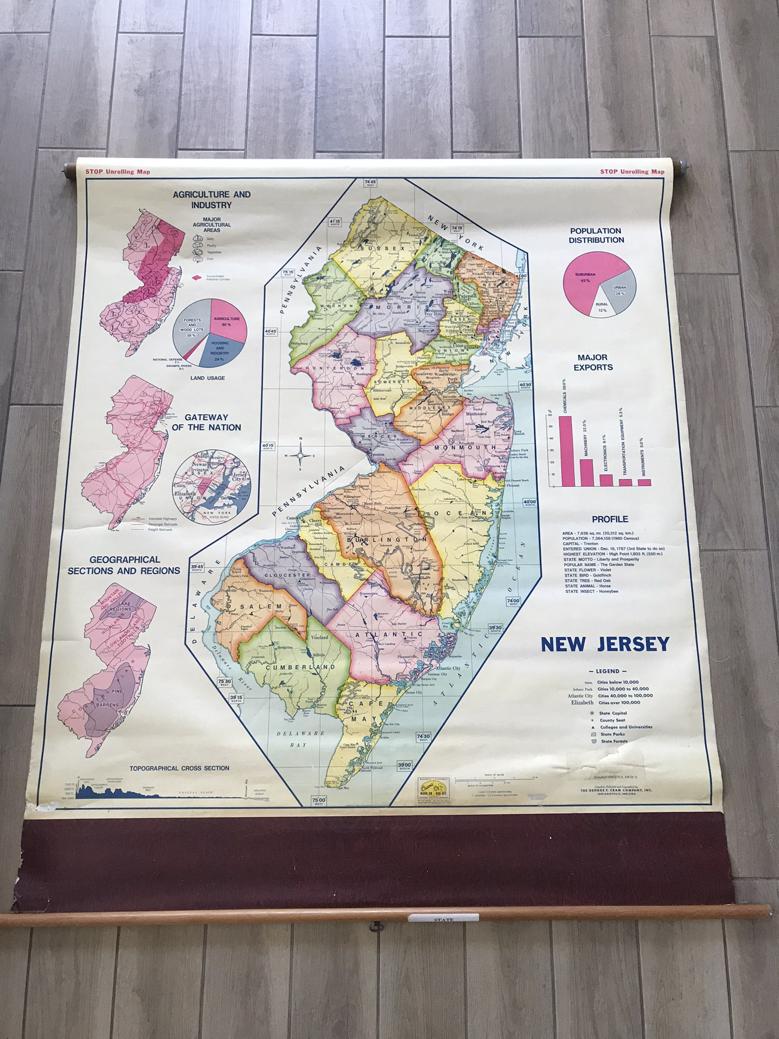 Vintage Pull Down School Chart of a New Jersey - Etsy