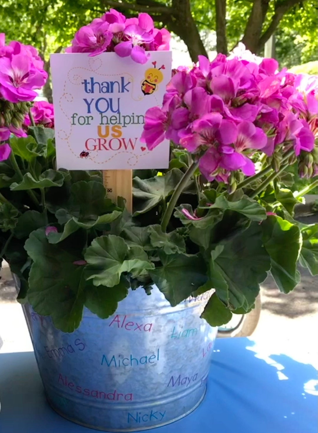 Thank You for Helping Us Grow Teacher Gift Sign - Etsy