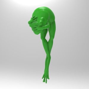 3D Printed Pair of Frog Plugs - Etsy