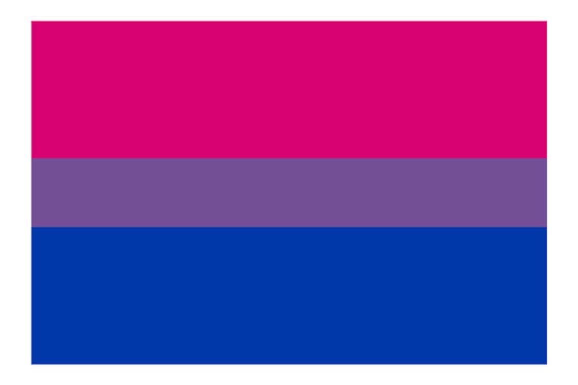 Bandera de BI Bisexual homosexualidad apoyo orgullo símbolo - Etsy España