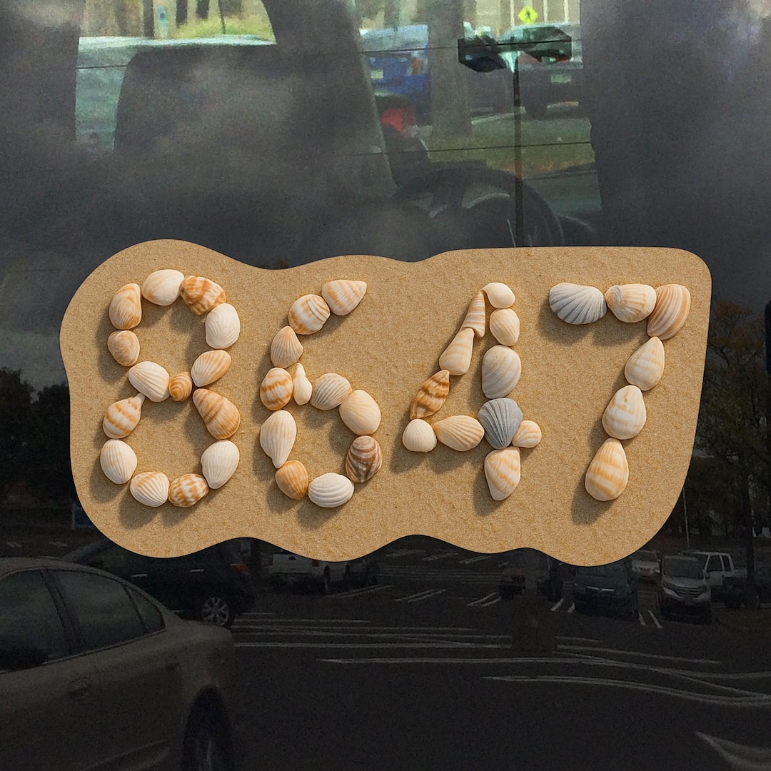8647 Seashells on a Beach FDT Cling - Vibrant Static Cling Window Cling ...