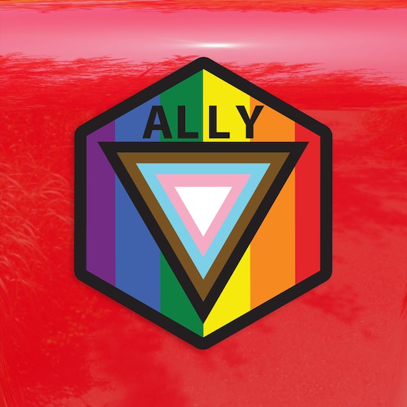 Ally Hexagon Safe Space Progress Pride Flag LGBTQ POC | Etsy