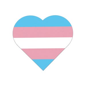 Heart Transgender Pride Flag Static Cling - Vibrant LGBTQ Window Decal ...