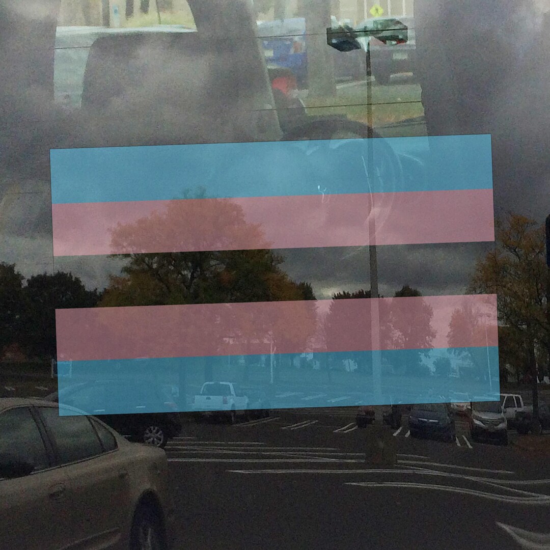 Transgender Pride Flag LGBTQ Flag - Semi-transparent Window Cling (for ...
