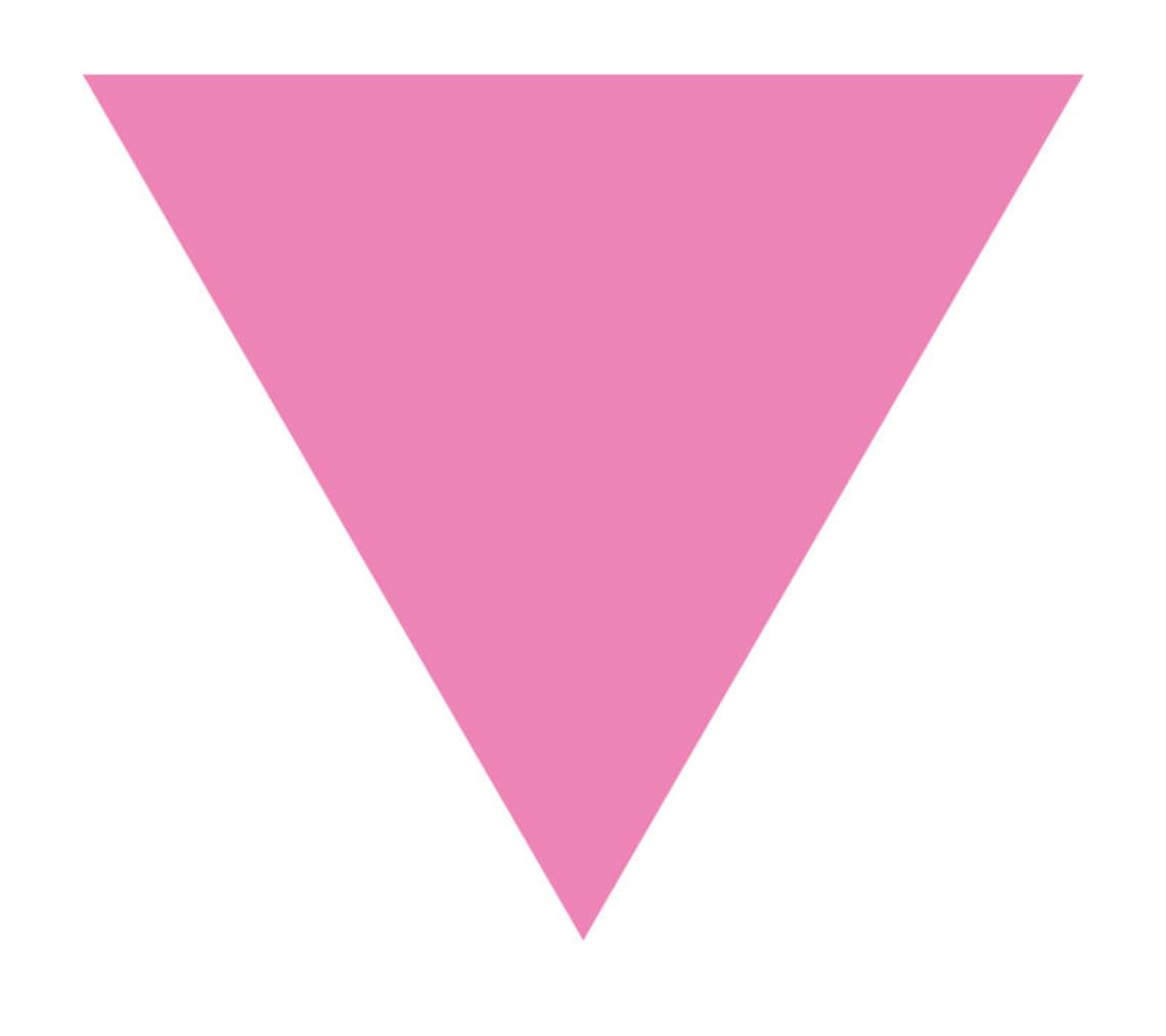 Pink Triangle Gay and Lesbian LGBT Support Pride Symbol | Etsy