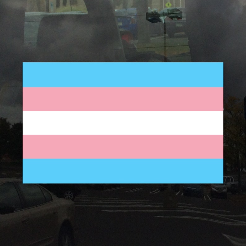 Transgender Flag Lgbt Rights Support Pride Symbol Vibrant Etsy