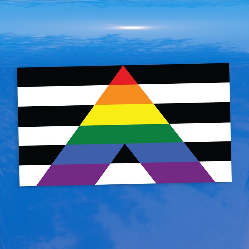 Ally Flag LGBTQ Support Pride Flag Vibrant Color Vinyl Decal - Etsy