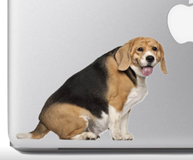 Fat Beagle Sticker – Cute Chubby Dog Vinyl Decal for Cars, Laptops ...