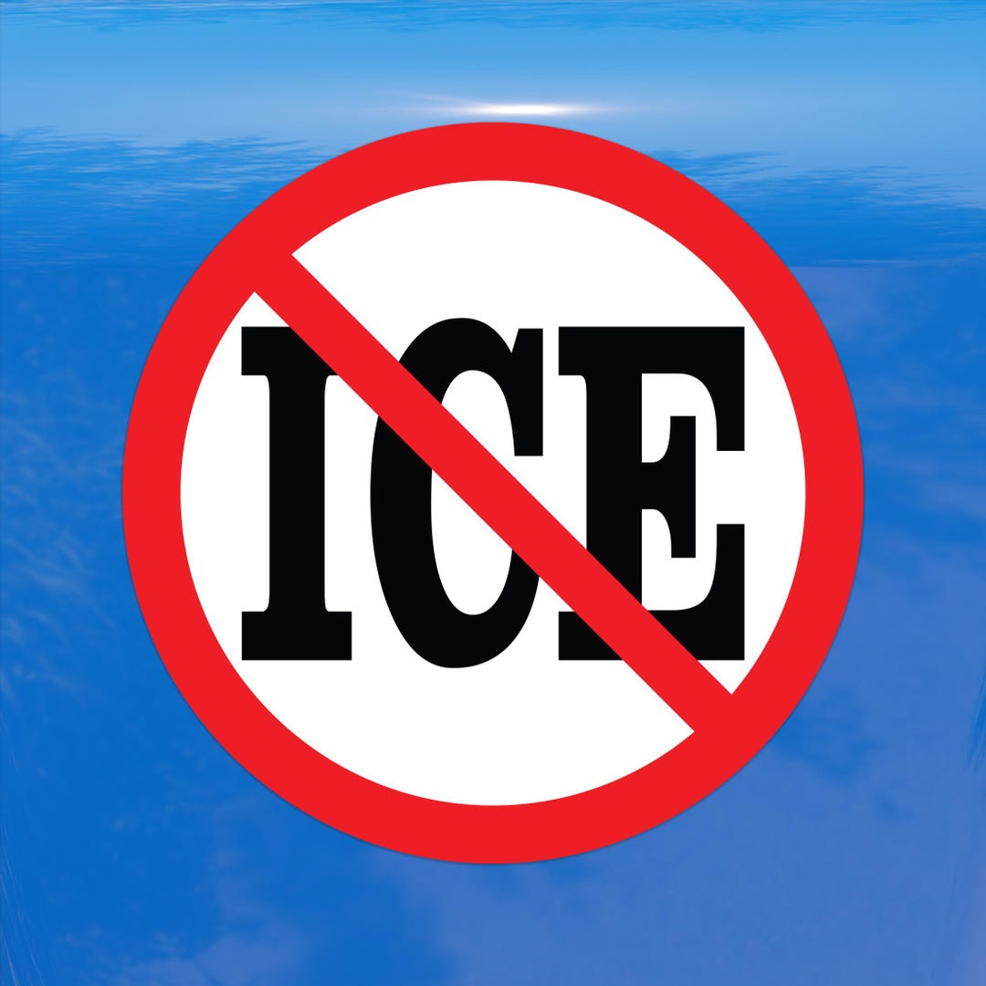 No ICE Protest Decal – Vibrant Color Vinyl Sticker for Cars, Laptops ...