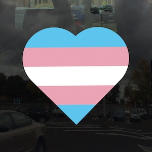Heart Transgender Pride Flag Static Cling - Vibrant LGBTQ Window Decal ...